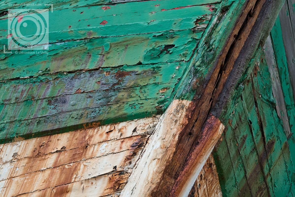 La couleur verte en photos