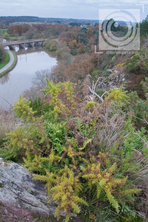 Photos du Boël - Bretagne