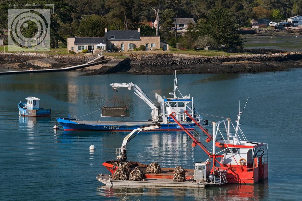 L'ostréiculture en photos - Bretagne