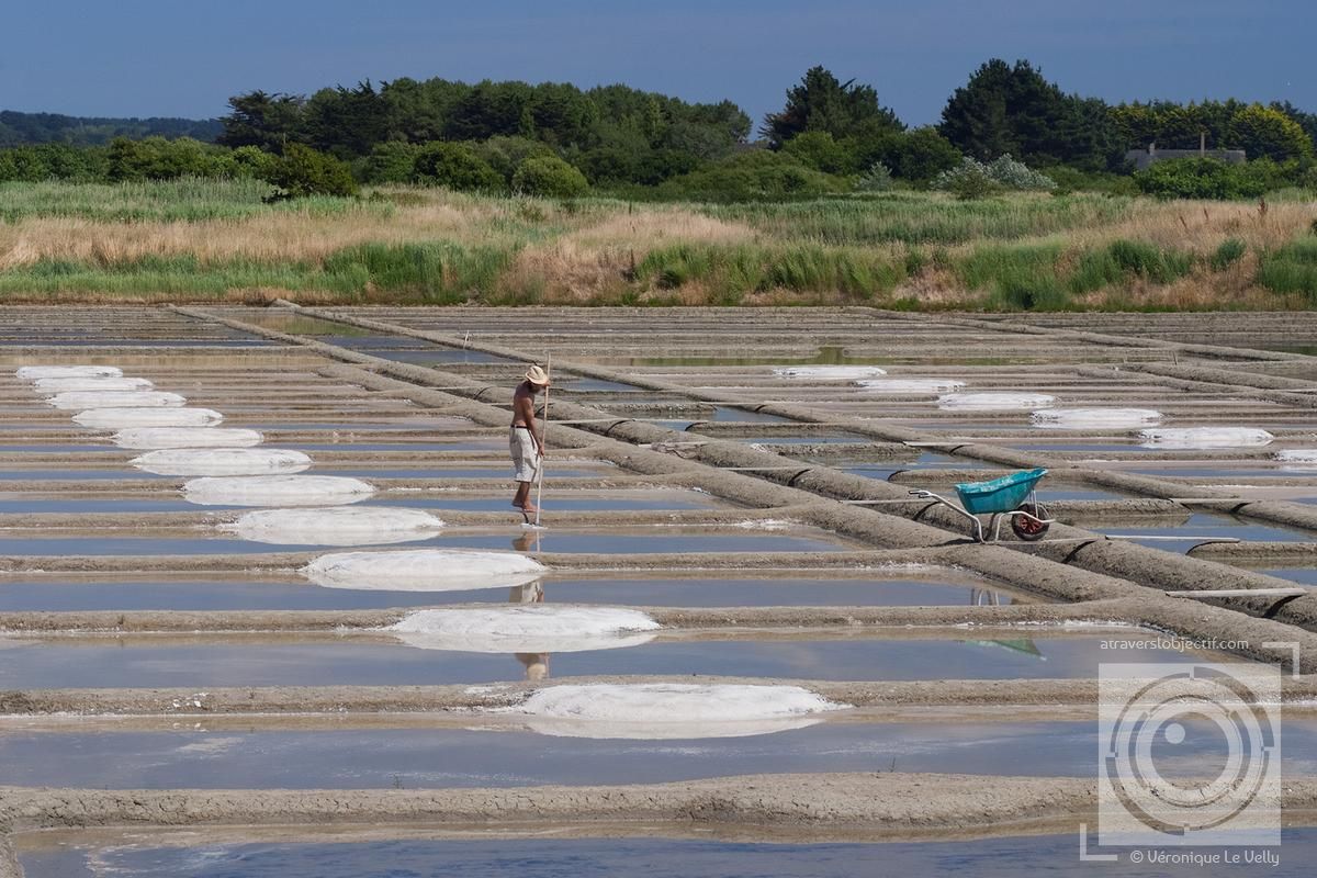 Photos de marais salant - Bretagne