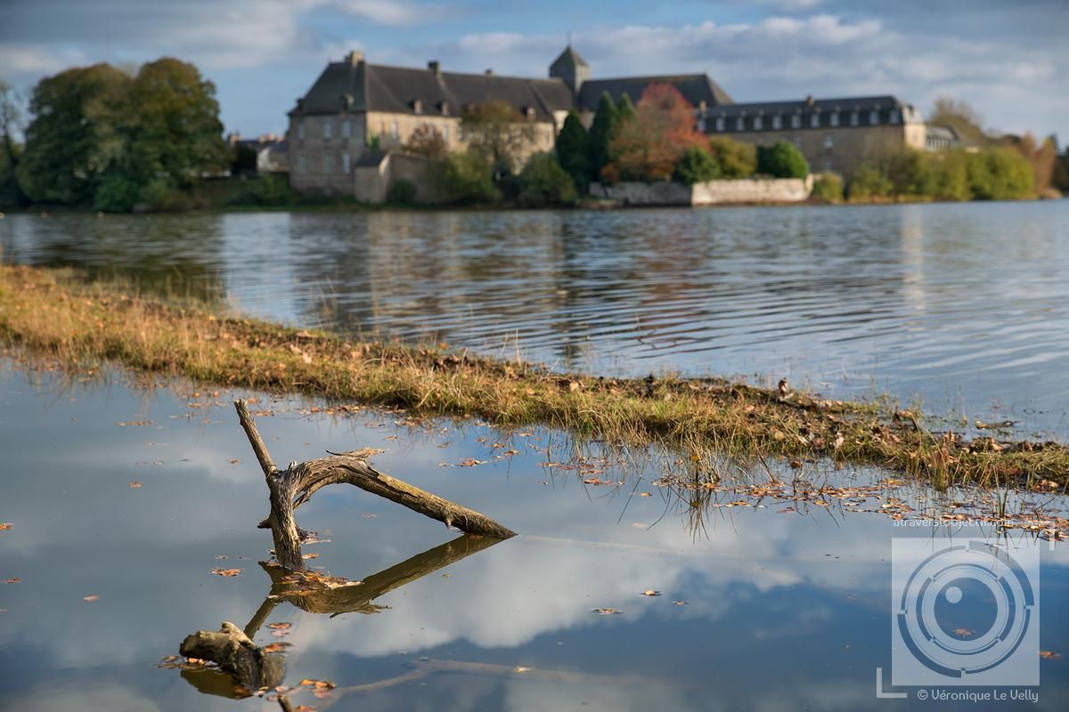 Photos de la forêt de Paimpont