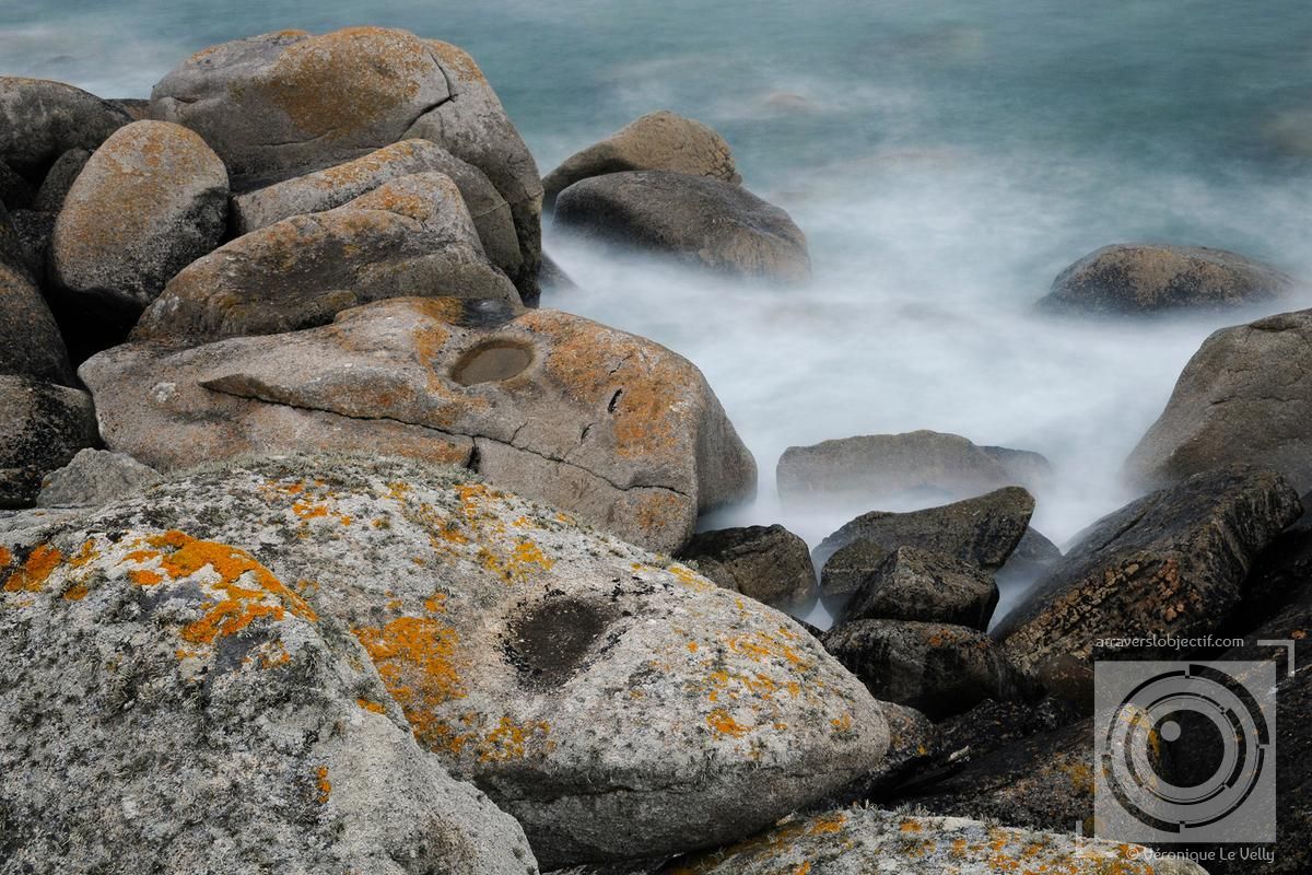 Photos de lichen - Bretagne