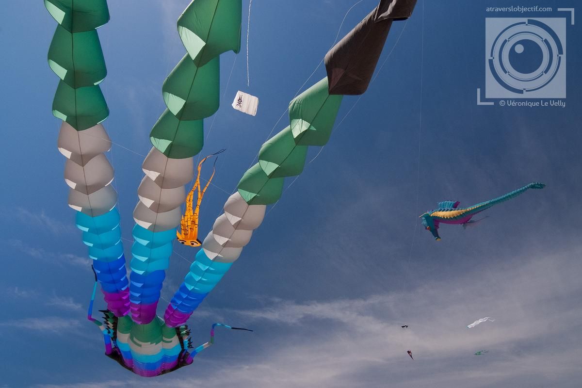 Photo de cerf-volant - Bretagne