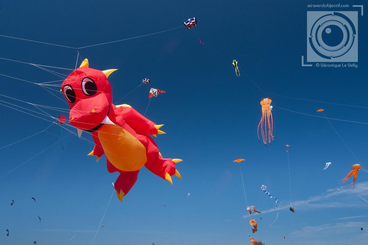 Photo de cerf-volant - Bretagne
