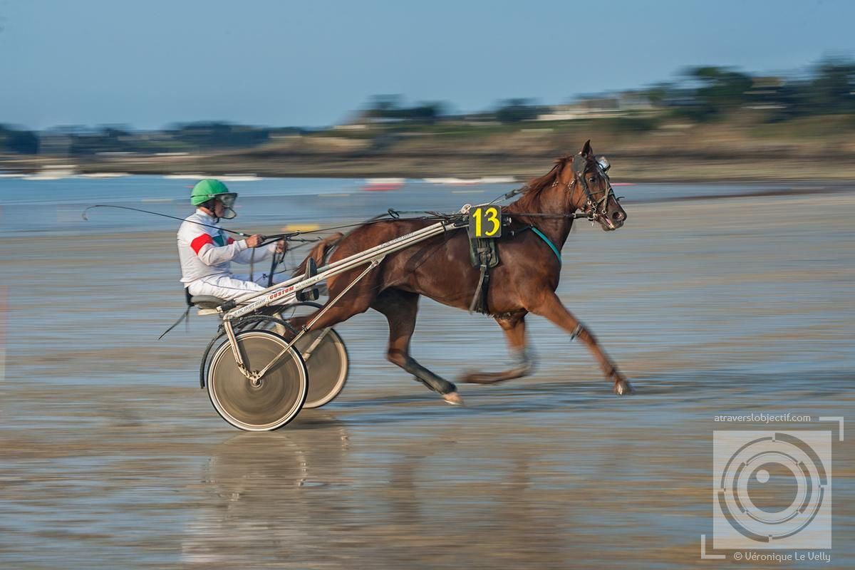 Photo course hippique - Bretagne