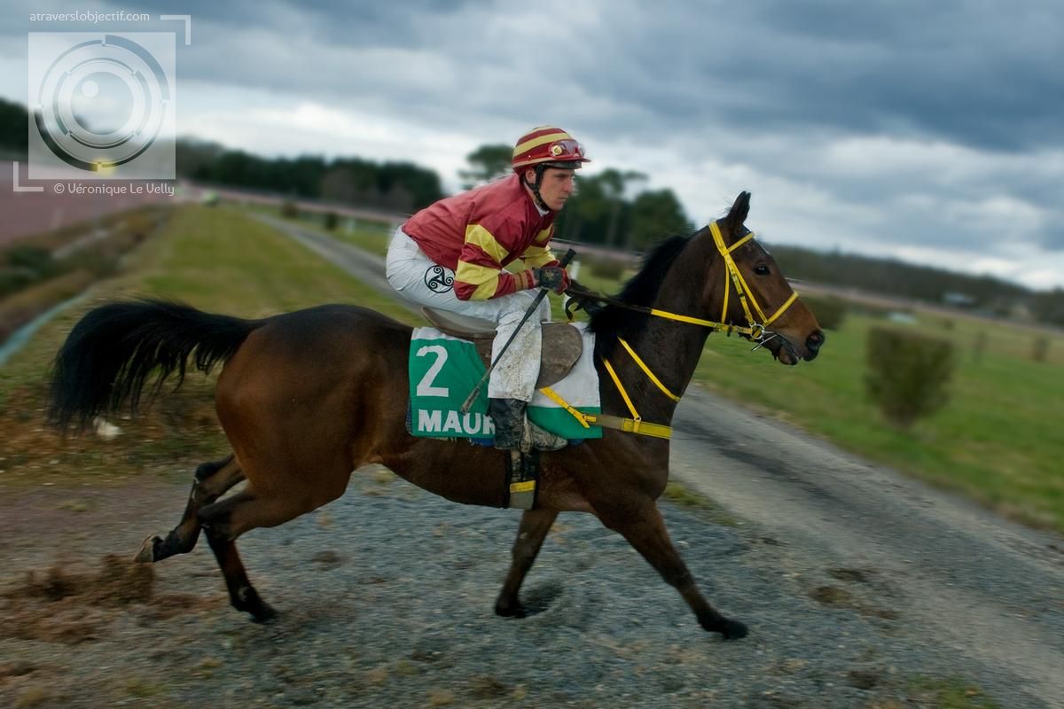 Photos de course hippique - Sport