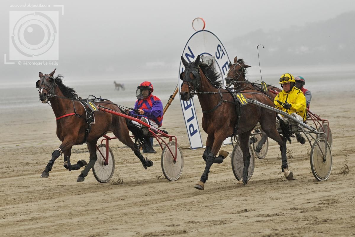 Photos de course hippique - Sport - A travers l'objectif