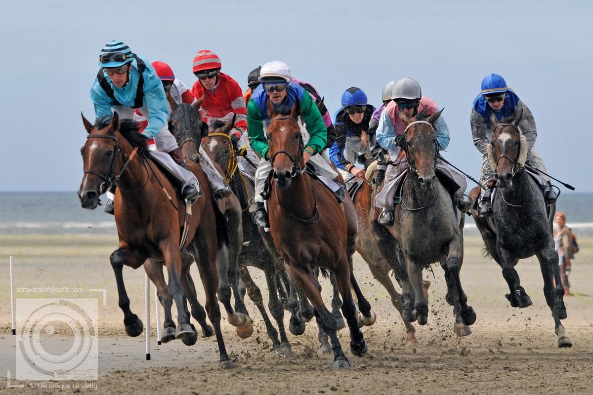 Photo course hippique - Bretagne