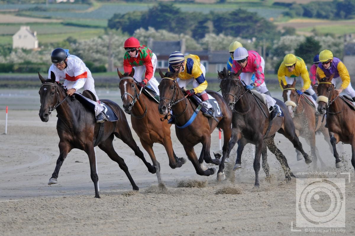 Photos de course hippique - Sport