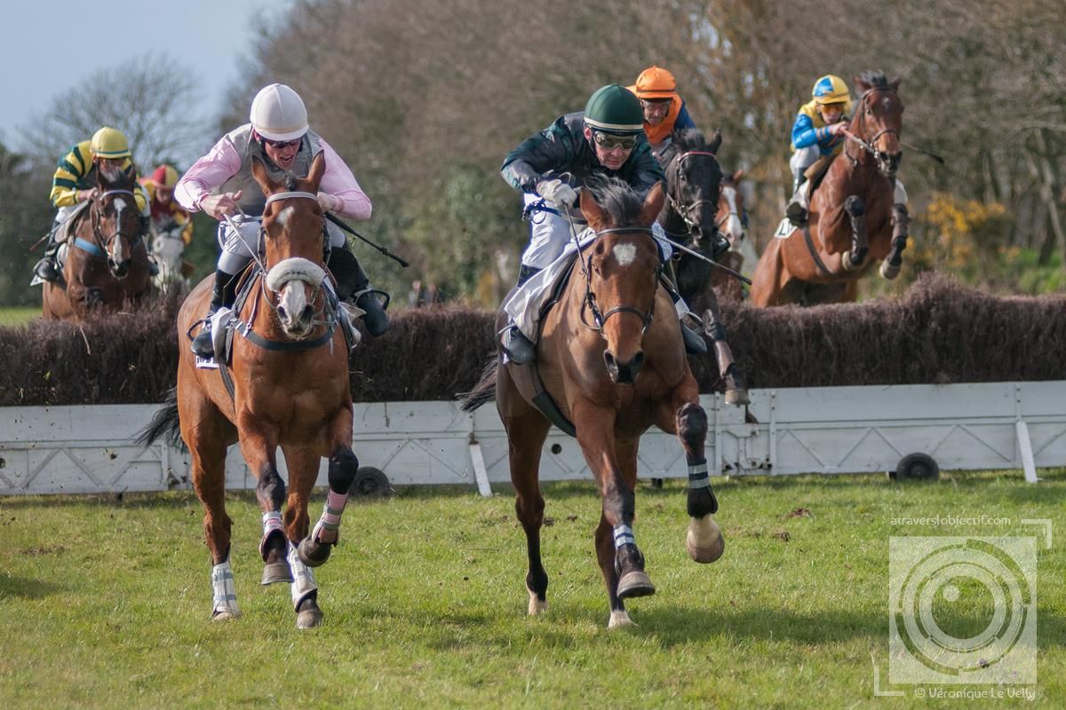 Photo course hippique - Bretagne