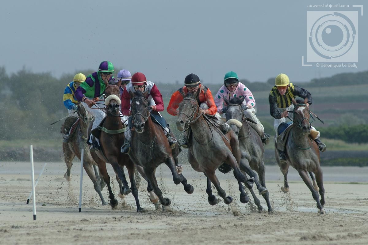 Photo course hippique - Bretagne