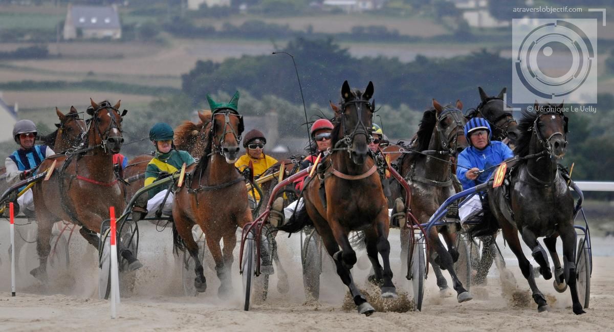 Photo course hippique - Bretagne - A travers l'objectif