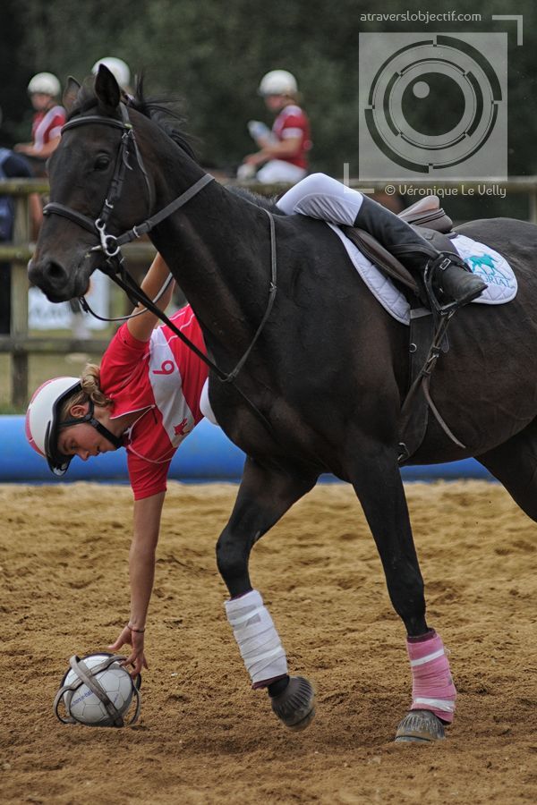 Photos de sports équestres